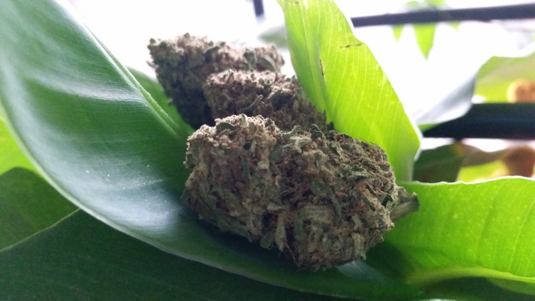 Worshiping the Holy Trinity – Toke Tank